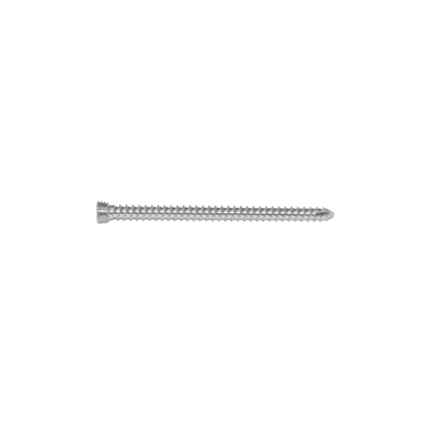 Cortical Screw Self Tapping (Star Drive) Titanium 2.0mm Dia. - siiora