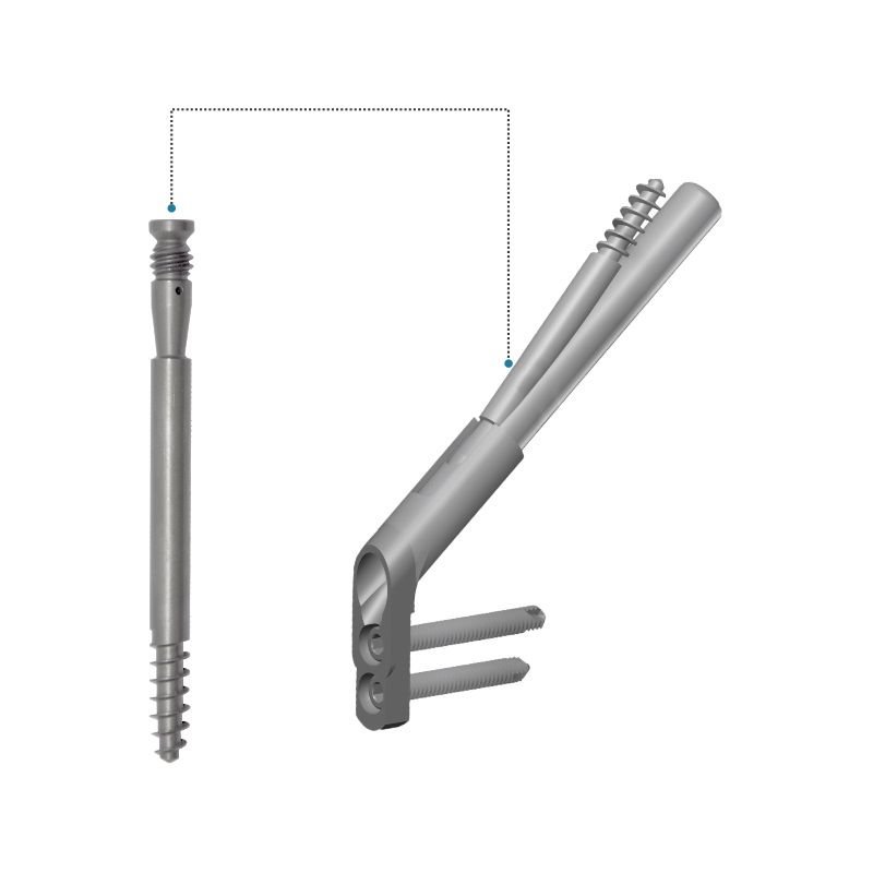 FNS - Antirotation Leg Screw - Titanium - Siora Surgicals Pvt. Ltd.
